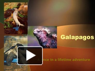 PPT – Galapagos PowerPoint presentation | free to view - id: 2458c5-ZWY1Z