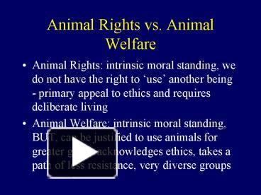 PPT – Animal Rights vs' Animal Welfare PowerPoint presentation | free ...