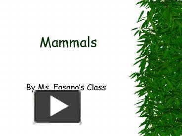 Mammals presentation | free to view