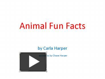 Animal Fun Facts presentation | free to view