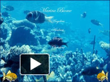 PPT – Marine Biome PowerPoint presentation | free to view - id: 24adb5 ...