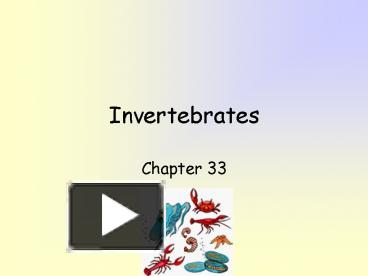Invertebrates presentation | free to download