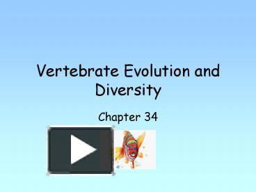 Vertebrate Evolution and Diversity presentation | free to download
