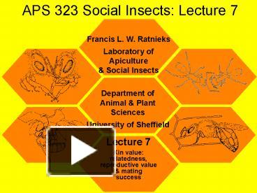 APS 323 Social Insects: Lecture 7 presentation | free to view