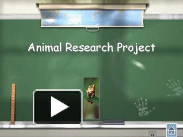 PPT – Animal Research Project PowerPoint presentation | free to view ...