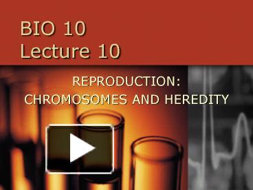 BIO 10 Lecture 10 presentation | free to view
