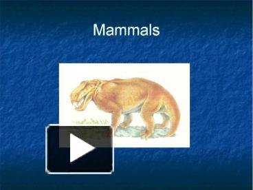 PPT – Mammals PowerPoint presentation | free to download - id: 2513de-NzRmM