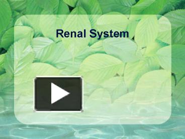 Renal System presentation | free to view