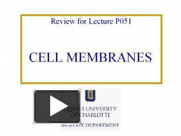 PPT – CELL MEMBRANES PowerPoint presentation | free to view - id ...