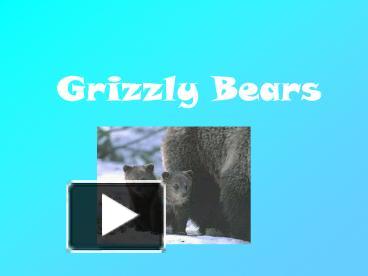 PPT – Grizzly Bears PowerPoint presentation | free to view - id: 25710 ...