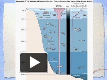 PPT – The Deep Sea PowerPoint presentation | free to view - id: 2590f1 ...