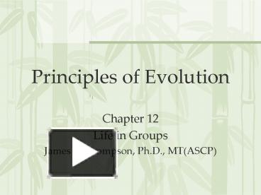 PPT – Principles of Evolution PowerPoint presentation | free to view ...