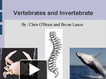 PPT – Vertebrates and Invertebrate PowerPoint presentation | free to ...