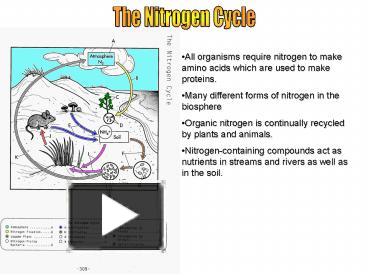 The Nitrogen Cycle presentation | free to view