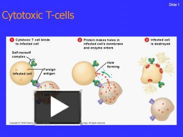 Cytotoxic Tcells presentation | free to view