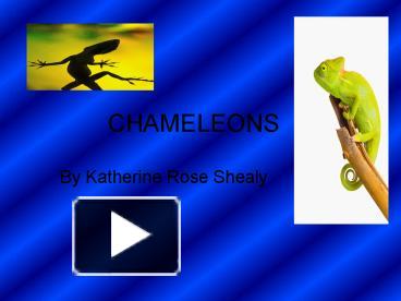 CHAMELEONS presentation | free to view