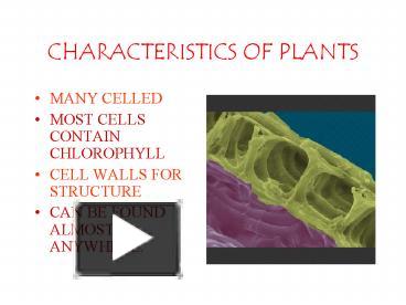 CHARACTERISTICS OF PLANTS presentation | free to view