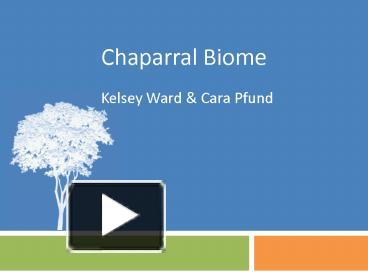 Chaparral Biome presentation | free to view