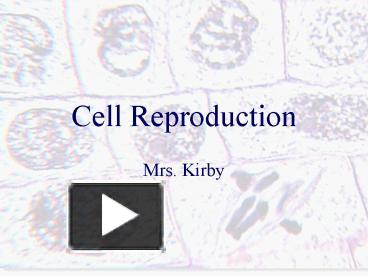 PPT – Cell Reproduction PowerPoint presentation | free to view - id ...