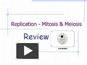 PPT – Replication Mitosis PowerPoint presentation | free to view - id ...
