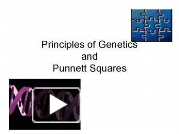 PPT – Principles of Genetics and Punnett Squares PowerPoint ...