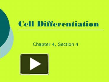 Cell Differentiation presentation | free to view