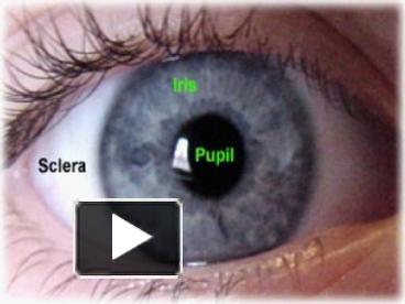 Sclera presentation | free to view