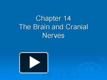 Chapter 14 The Brain and Cranial Nerves presentation | free to view