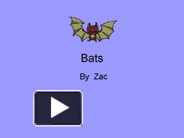 Bats presentation | free to view