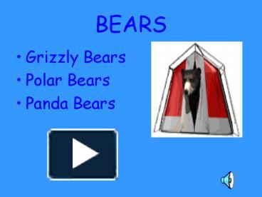 PPT – BEARS PowerPoint presentation | free to view - id: 26507-Njg3Z