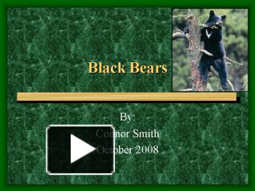 Black Bears presentation | free to view