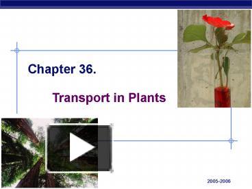 Plant Transport presentation | free to view