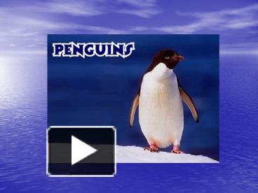 PPT – Emperor Penguin chick PowerPoint presentation | free to view - id ...