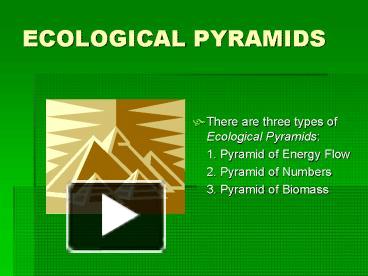 ECOLOGICAL PYRAMIDS presentation | free to view