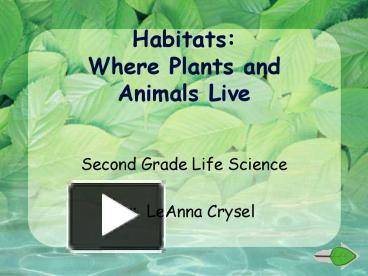 Habitats: Where Plants and Animals Live presentation | free to view