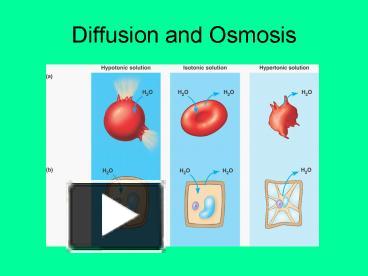 Diffusion and Osmosis presentation | free to view