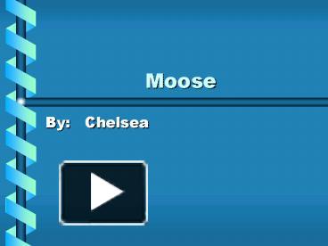 Moose presentation | free to view
