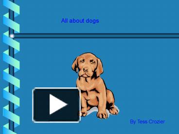 All about dogs presentation | free to view