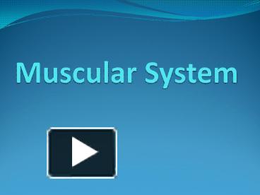 PPT – Muscular System PowerPoint presentation | free to view - id ...
