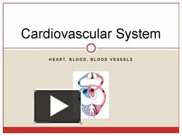PPT – Heart, blood, blood vessels PowerPoint presentation | free to ...