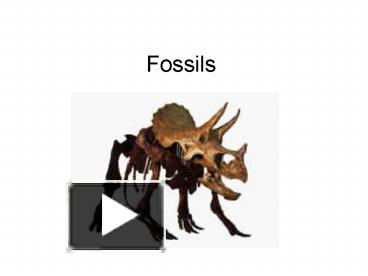 PPT – Fossils PowerPoint presentation | free to view - id: 277bbf-ZDc1Z