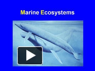 Marine Ecosystems presentation | free to view