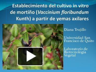 Diana Trujillo presentation | free to view