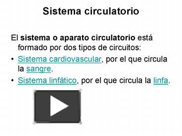 PPT – Sistema circulatorio PowerPoint presentation | free to view - id ...