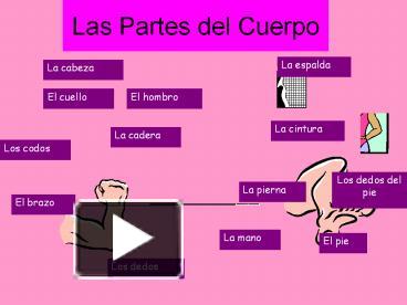 Las Partes del Cuerpo presentation | free to download