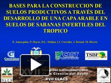 BASES PARA LA CONSTRUCCION DE SUELOS PRODUCTIVOS A TRAVS DEL DESARROLLO ...