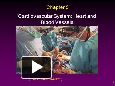 Cardiovascular System: Heart and Blood Vessels presentation | free to view