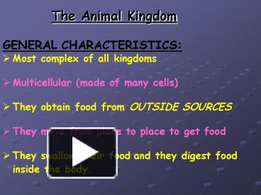 PPT – The Animal Kingdom PowerPoint presentation | free to download ...