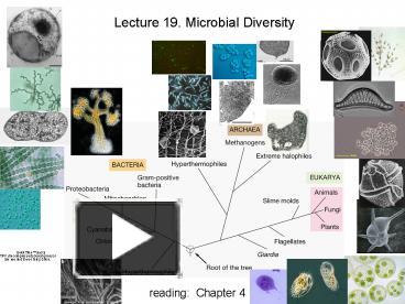 Lecture 19. Microbial Diversity presentation | free to view