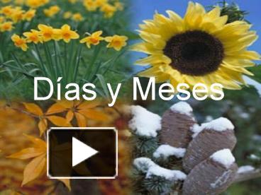 Das y Meses presentation | free to view
